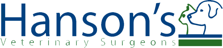 Home - Hansons Vets
